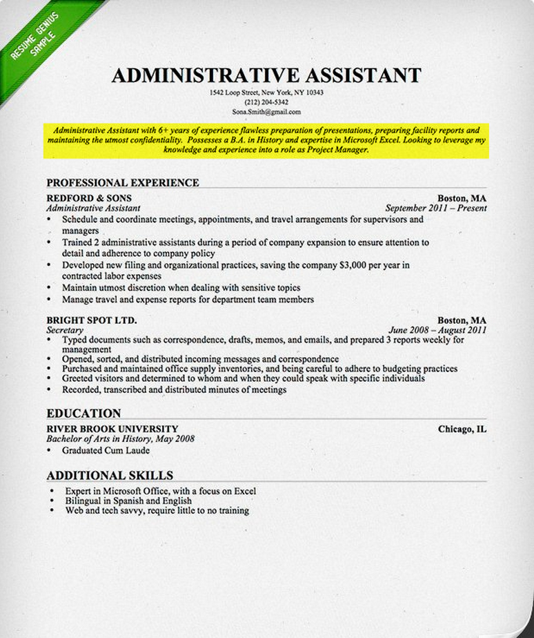 25 Unique Professional Objective For Resume BEST RESUME EXAMPLES
