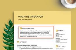 Resume Profile Examples What To Put In Your Own Profile