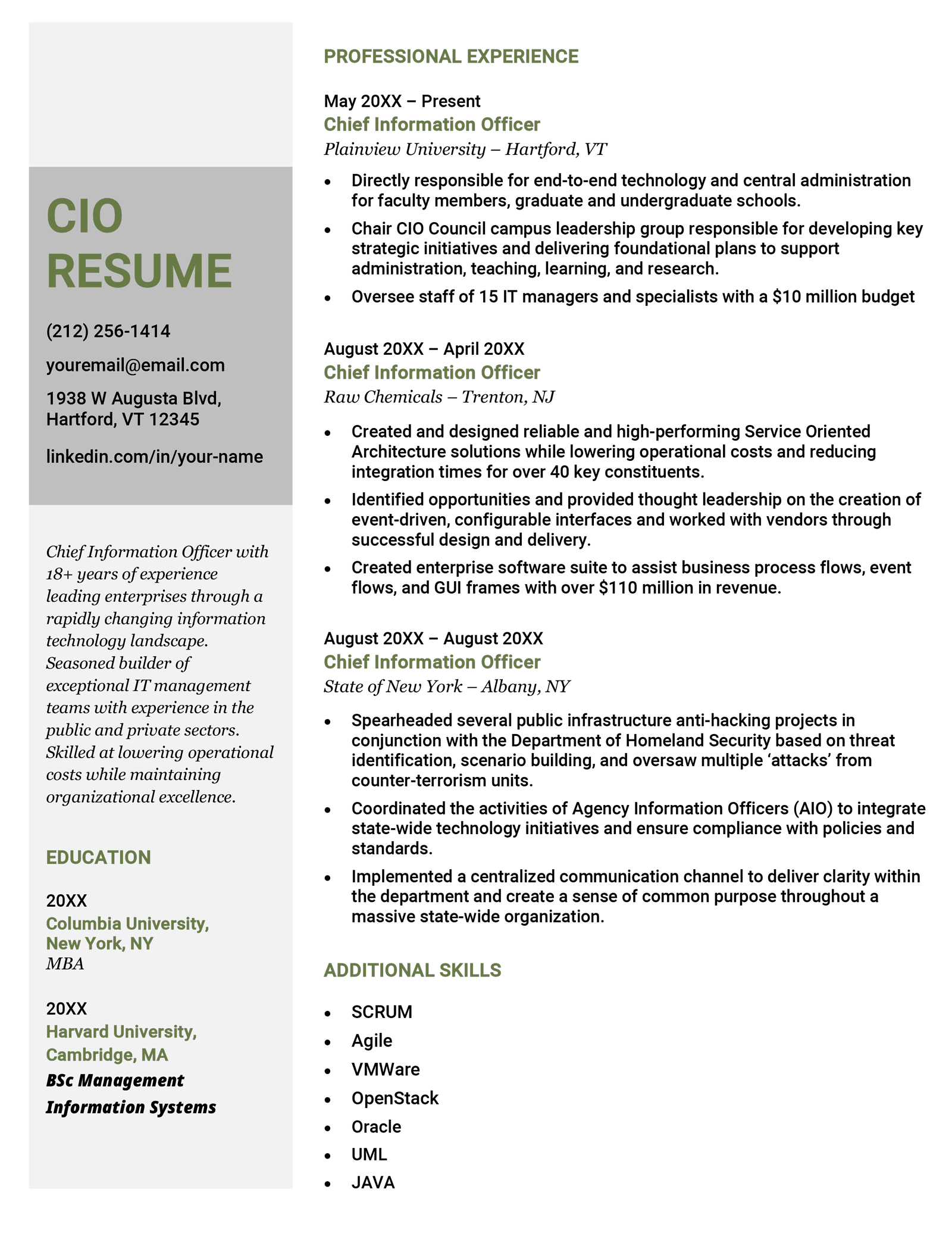 Chief Information Officer (CIO) Resume Example & Template