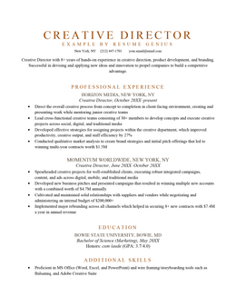 Professional Experience Resume