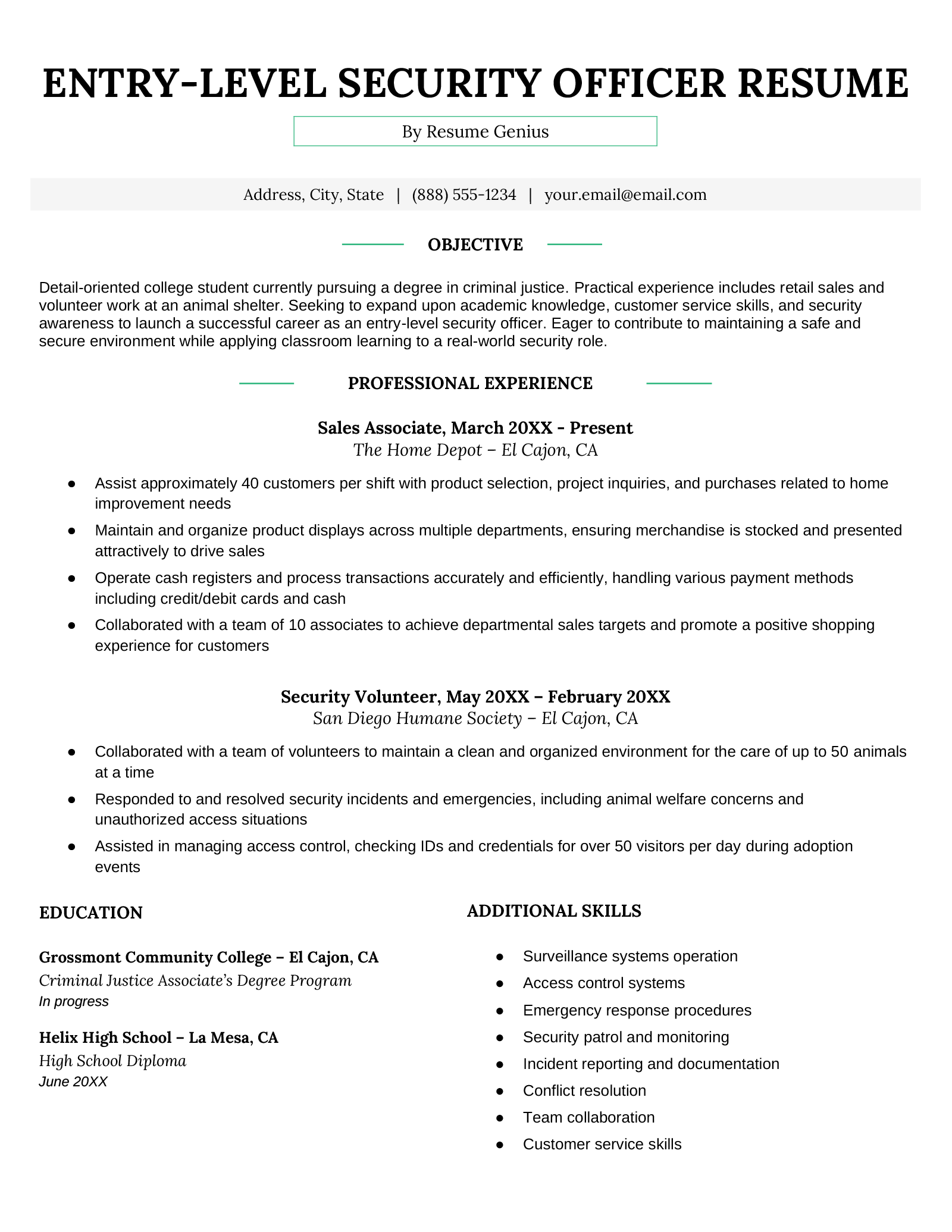 3+ Security Officer Resume Examples for 2025