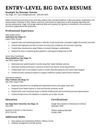 Big Data Resume Examples & Template