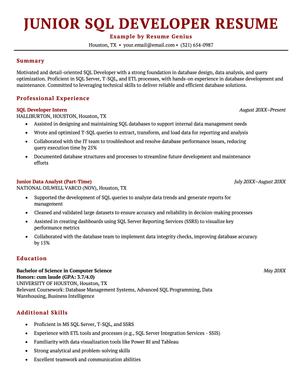 SQL Developer Resume [Examples & Writing Tips]