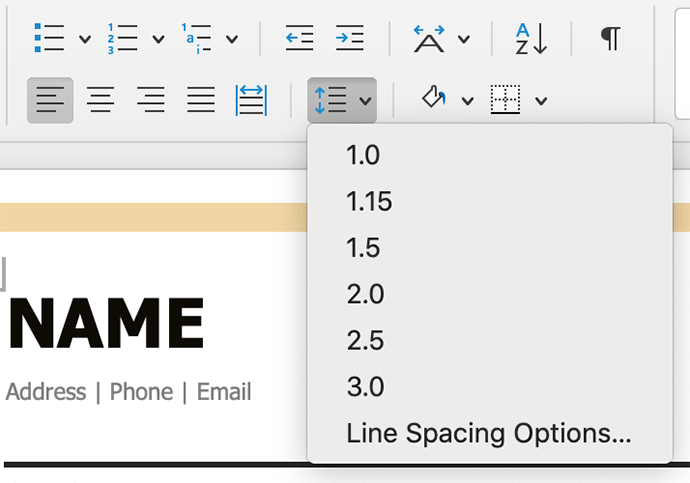 where to make a resume in microsoft word - Jessica Wereiry