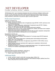 Power BI Developer Resume Examples (Free Download)