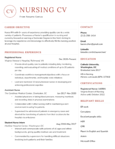 380+ Free Curriculum Vitae (CV) Examples for 2024