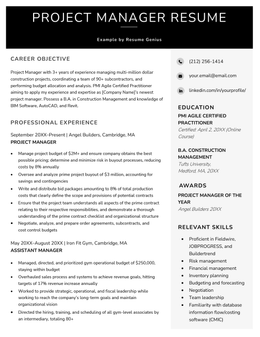 Project Manager Resume Examples Writing Guide