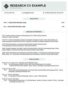 CV Examples: 250+ Curriculum Vitae Samples [Free Download]