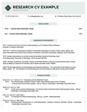 CV Examples: 250+ Curriculum Vitae Samples [Free Download]