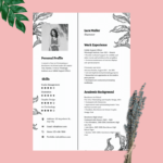 12 Visual Resume Templates We Love for 2024