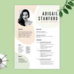 10 Visual Resume Examples and Templates | Resume Genius