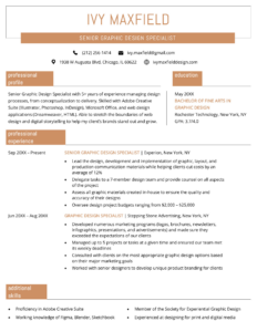 8+ Best Resume Layout Examples for 2024