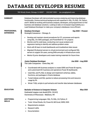Database Developer Resume Examples & 3 Writing Tips