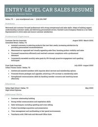 Car Sales Resume Examples & Template