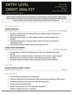 Credit Analyst Resume - Examples & Template (Free Download)