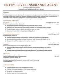 Insurance Agent Resume Examples & Writing Guide for 2026