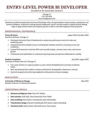 Power BI Developer Resume Examples (Free Download)