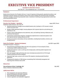 Vice President Resume - Examples & Template (Free Download)
