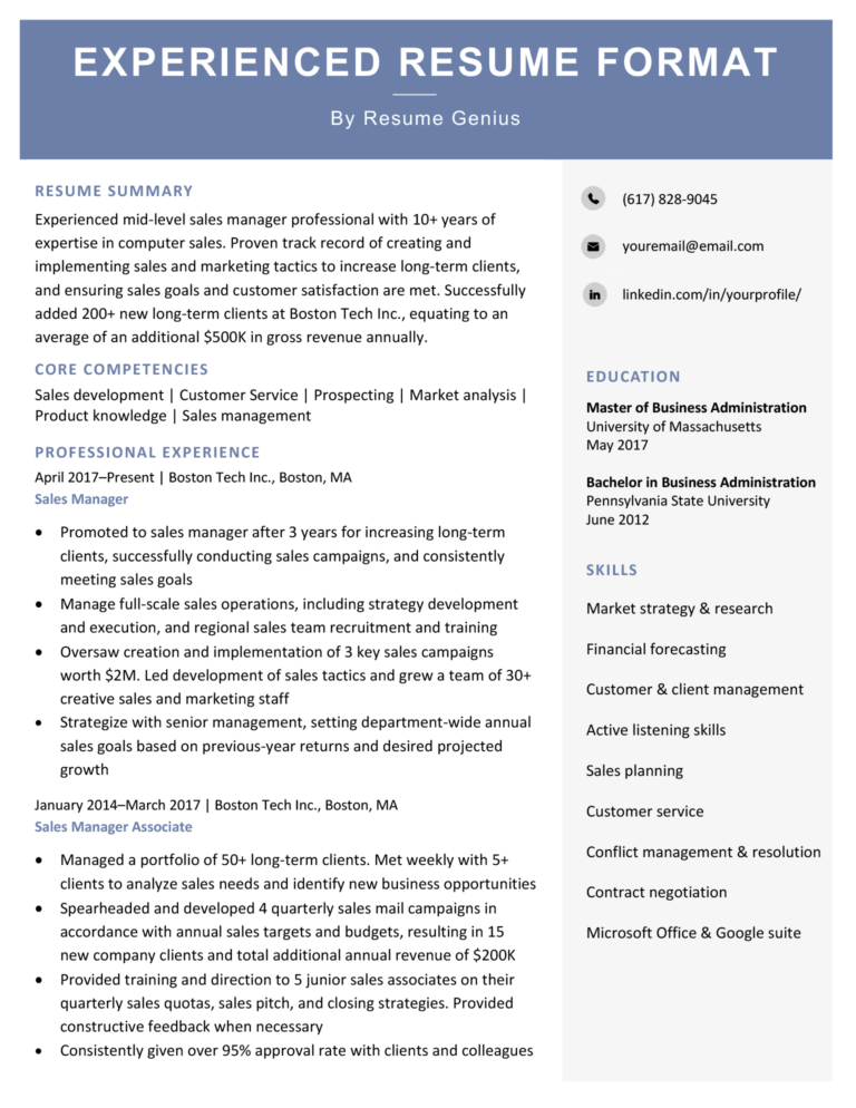 Best Resume Formats for 2024 [8+ Professional Examples]