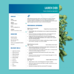 Resume Designs: 16 Stunning Resume Design Ideas