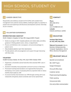 CV Examples For Students (With Fill-In Template & Tips)