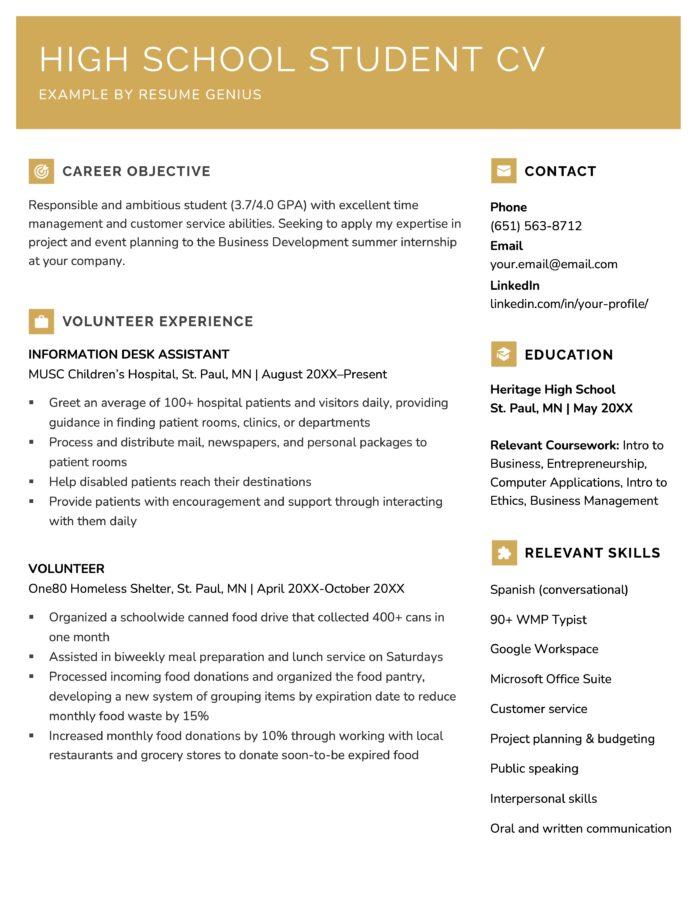 CV Examples For Students (With Fill-In Template & Tips)