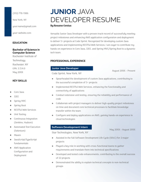 6 Java Developer Resume Samples and Templates for 2024