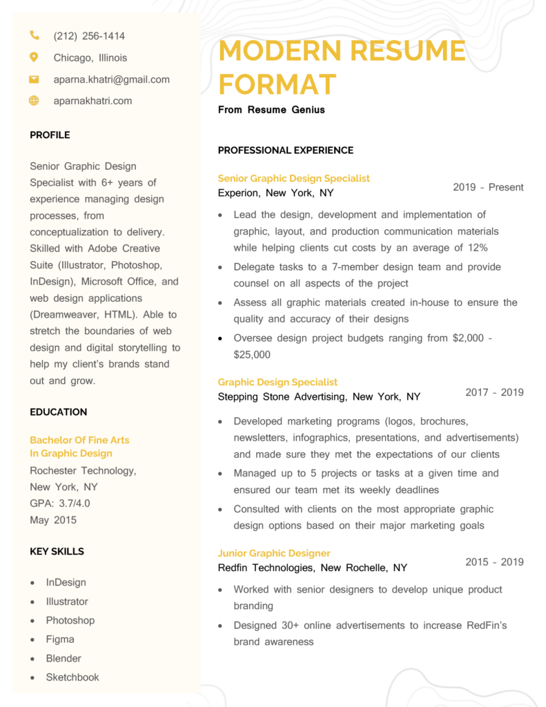 Best Resume Formats for 2024 [8+ Professional Examples]