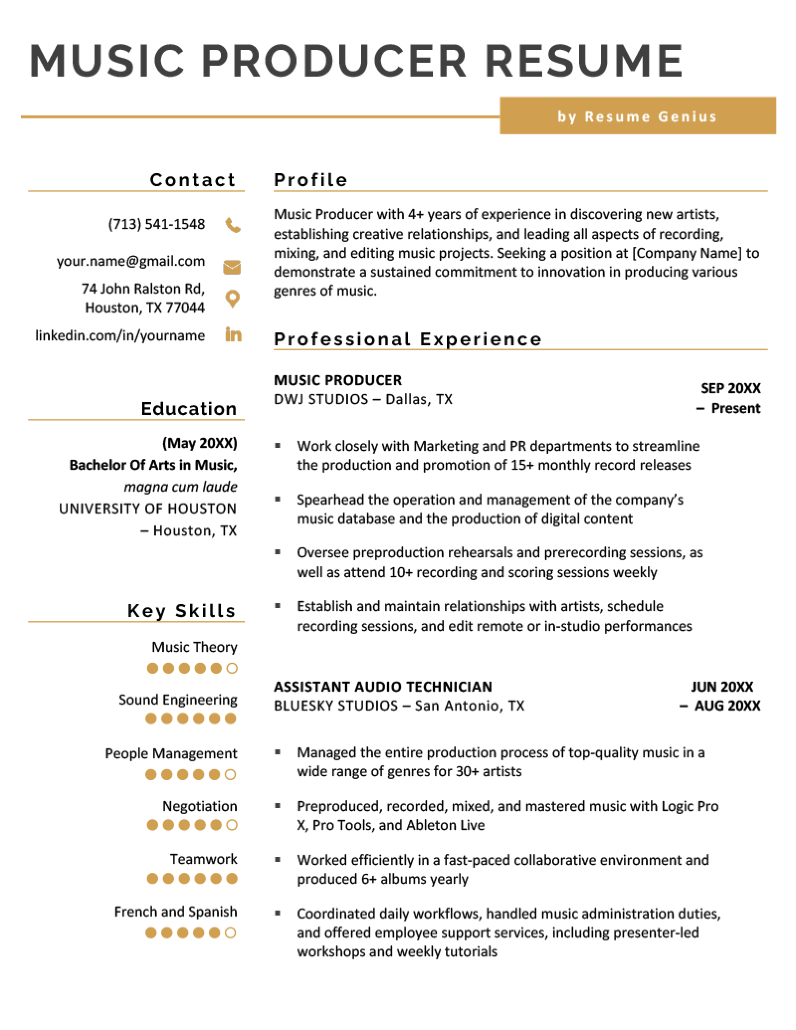 Music & Musician Resume Example + Writing Tips