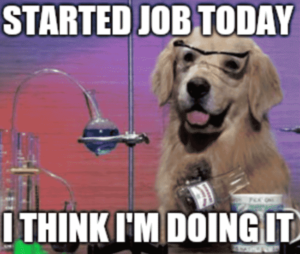 24 Best Resume Memes Every Job Seeker Can Relate to