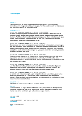 15+ Free Pages Resume Templates for Mac