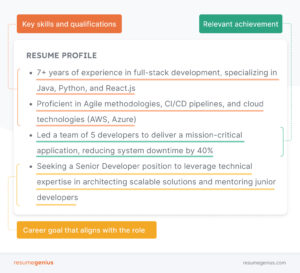 How to Write a Convincing Resume Profile (+15 Examples)