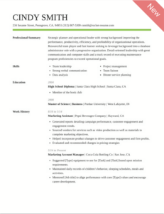 Rocket Resume Reviews: Builder and Templates