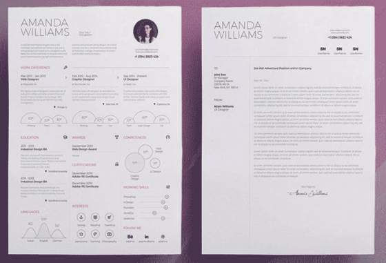 How to Make an Infographic Resume (with Examples and Templates)