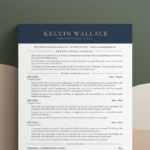 Resume Designs: 16 Stunning Resume Design Ideas