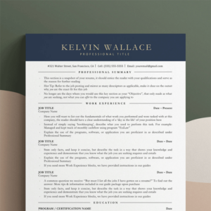Resume Designs: 16 Stunning Resume Design Ideas
