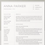 Resume Designs: 16 Stunning Resume Design Ideas