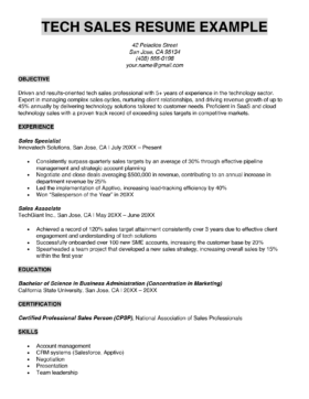 9+ Sales Resume Examples & Writing Tips